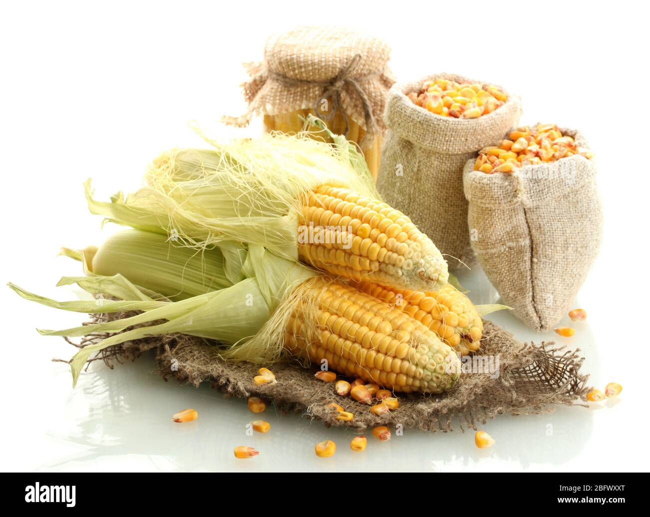 fresh corn and bags with dry corn, isolated on white Stock Photo - Alamy