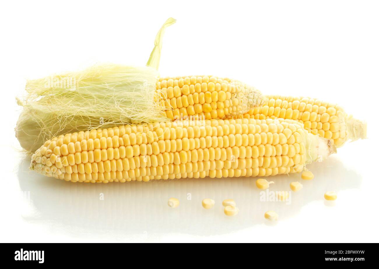 fresh corn, isolated on white Stock Photo - Alamy