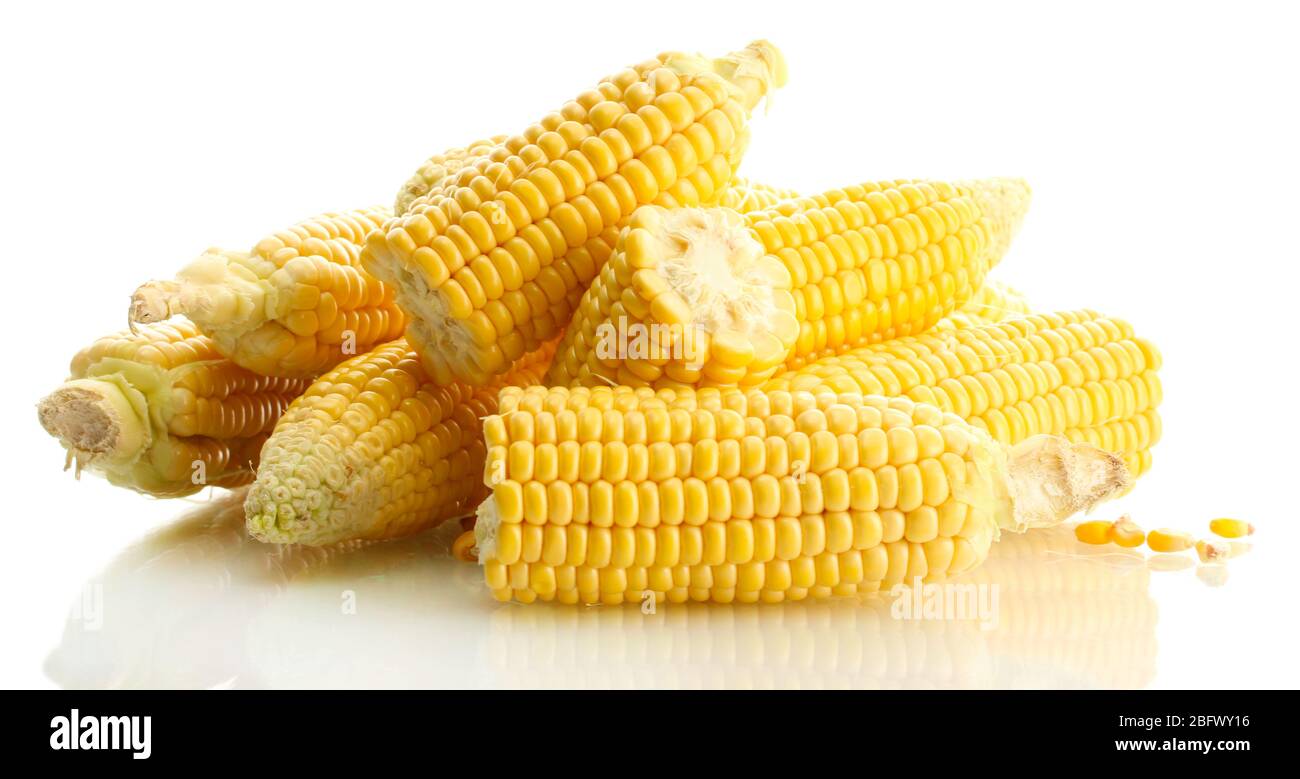 fresh corn, isolated on white Stock Photo - Alamy