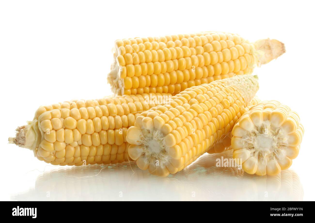 fresh corn, isolated on white Stock Photo - Alamy