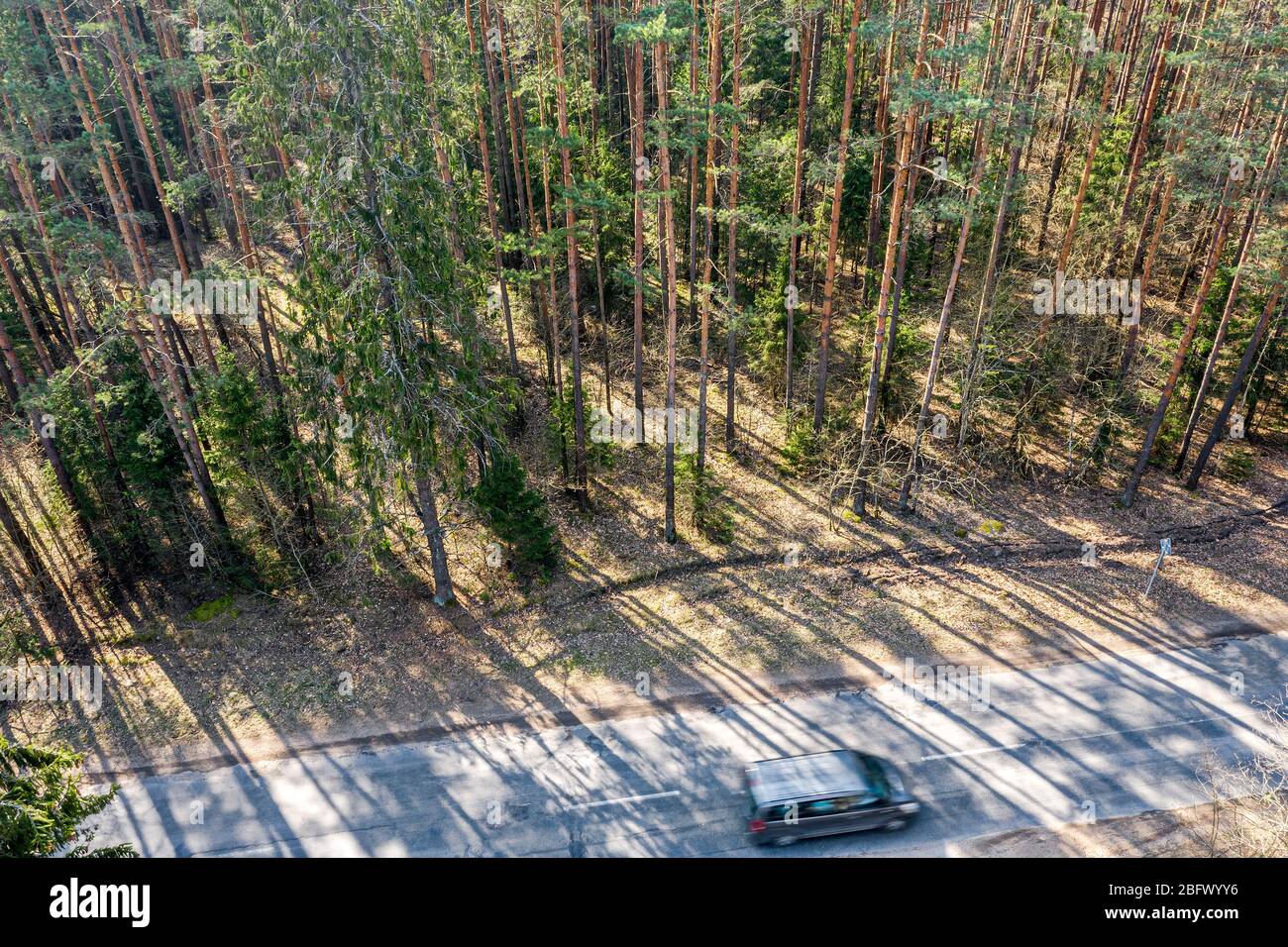 Highway through pine tree forest hi-res stock photography and images ...