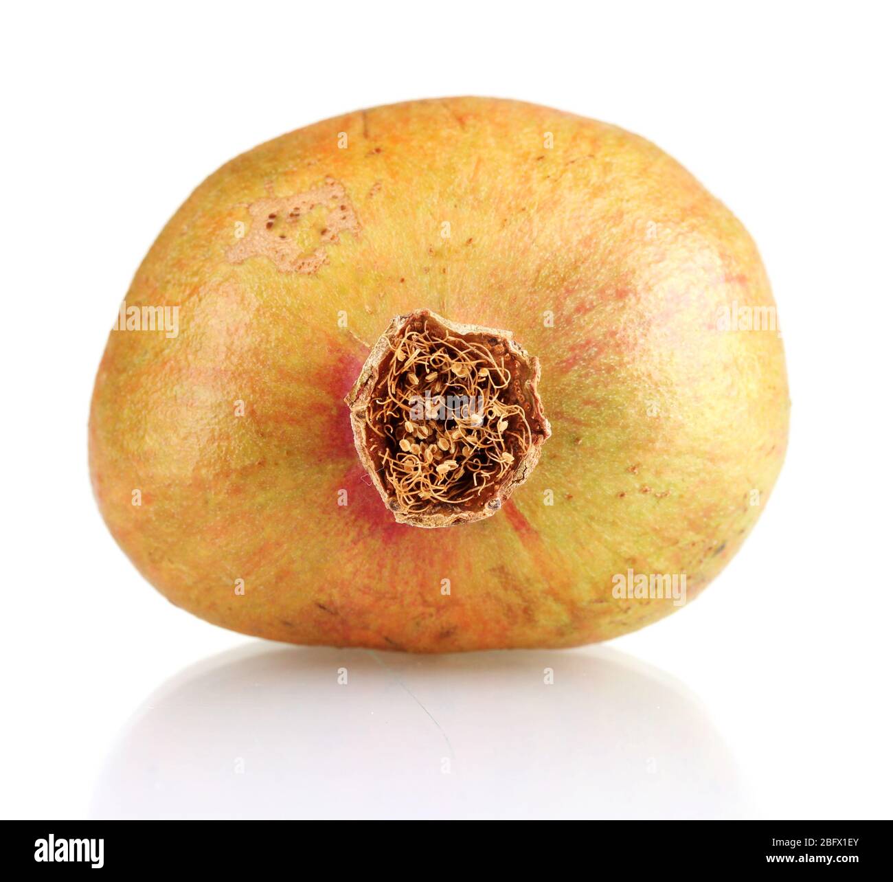 Immature pomegranate hi-res stock photography and images - Alamy