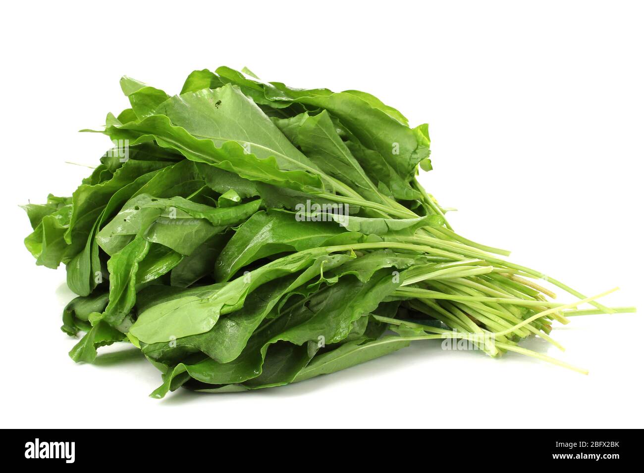 Fresh sorrel isolated on white Stock Photo - Alamy