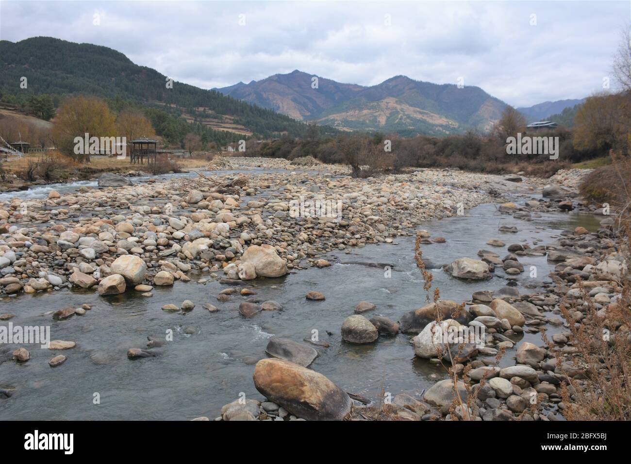Tang chuu hi-res stock photography and images - Alamy