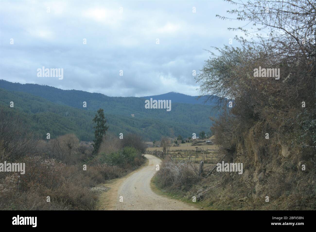 Scenery in the Tang Valley, Bumthang, Bhutan Stock Photo - Alamy