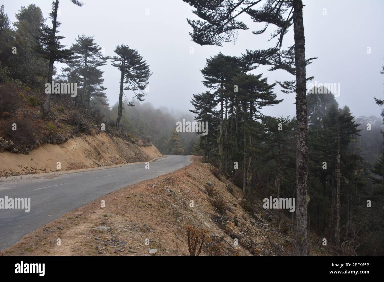 Empty roadside scenery between Gangtey and Bumthang, Bhutan Stock Photo ...