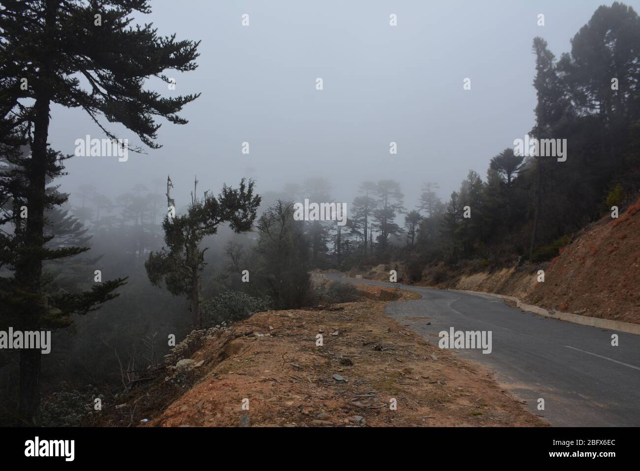 Empty roadside scenery between Gangtey and Bumthang, Bhutan Stock Photo ...