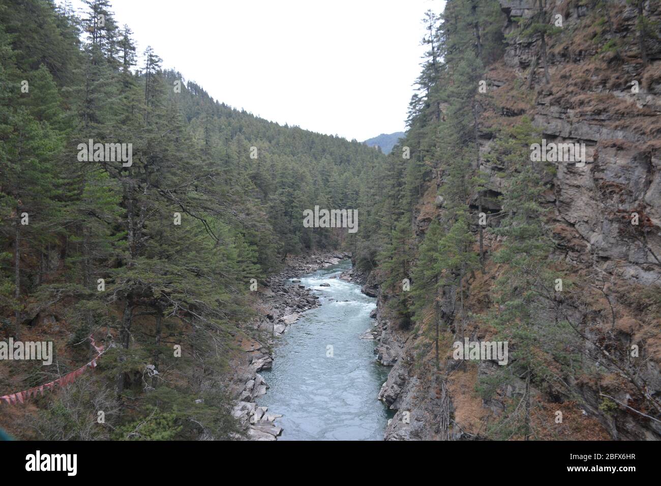 River scenery between Gangtey and Bumthang, Bhutan Stock Photo - Alamy