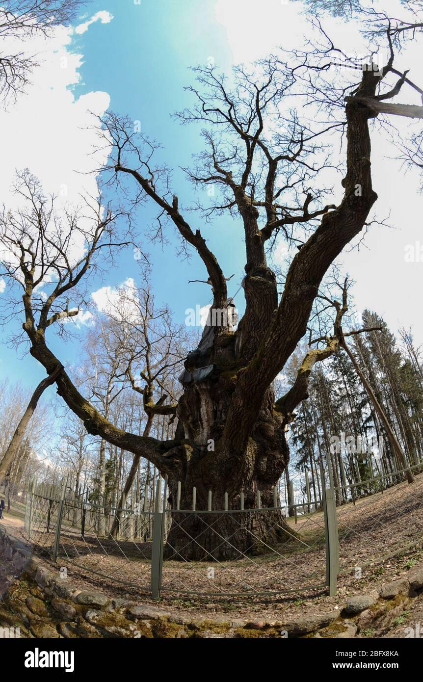 Oldest in europe hi-res stock photography and images - Alamy