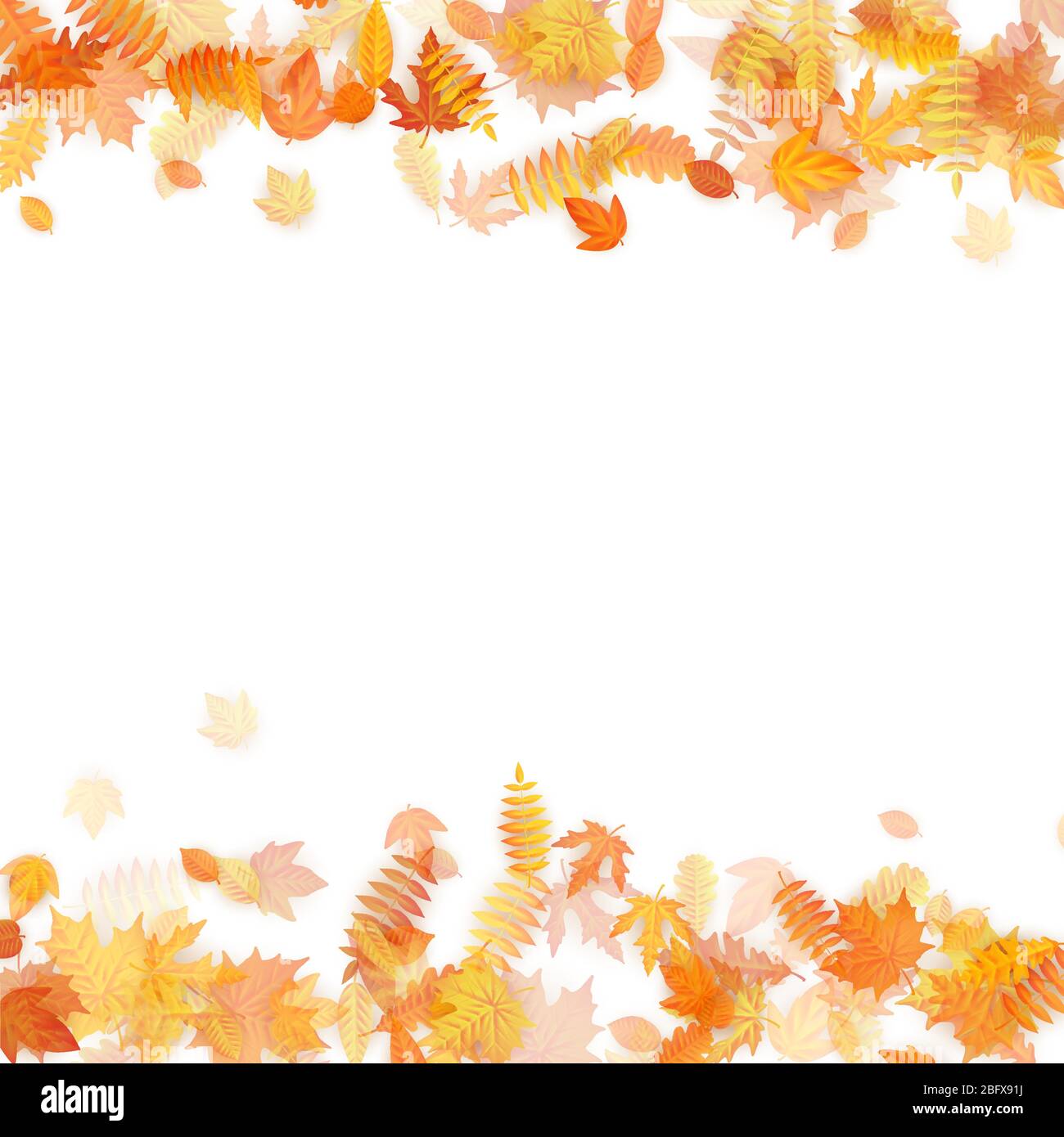 Autumn template with golden maple and oak leaves. EPS 10 Stock Vector ...