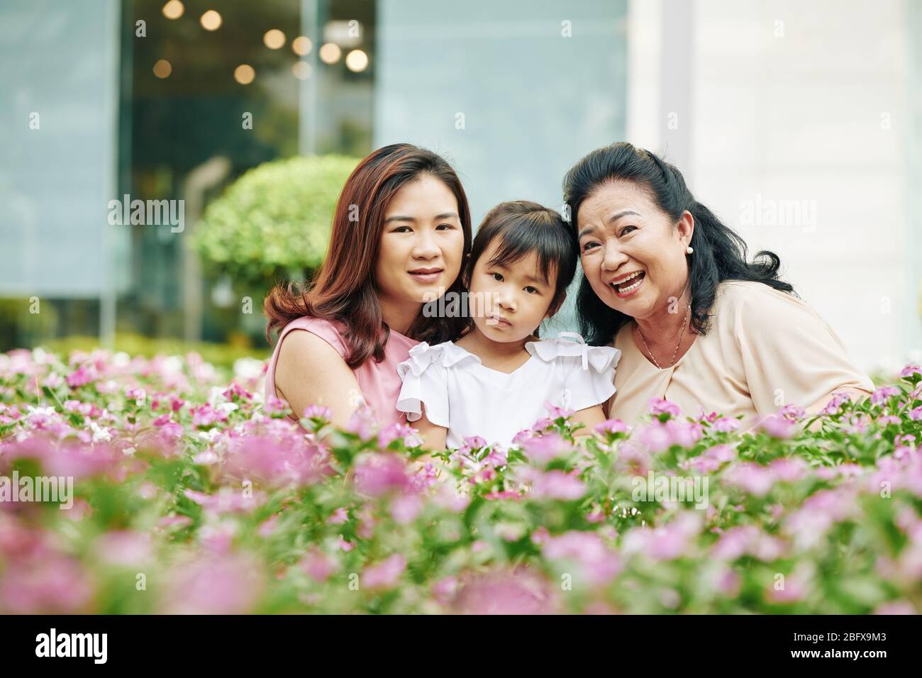 Portrait of three generation of Vietnamese family sitting among ...