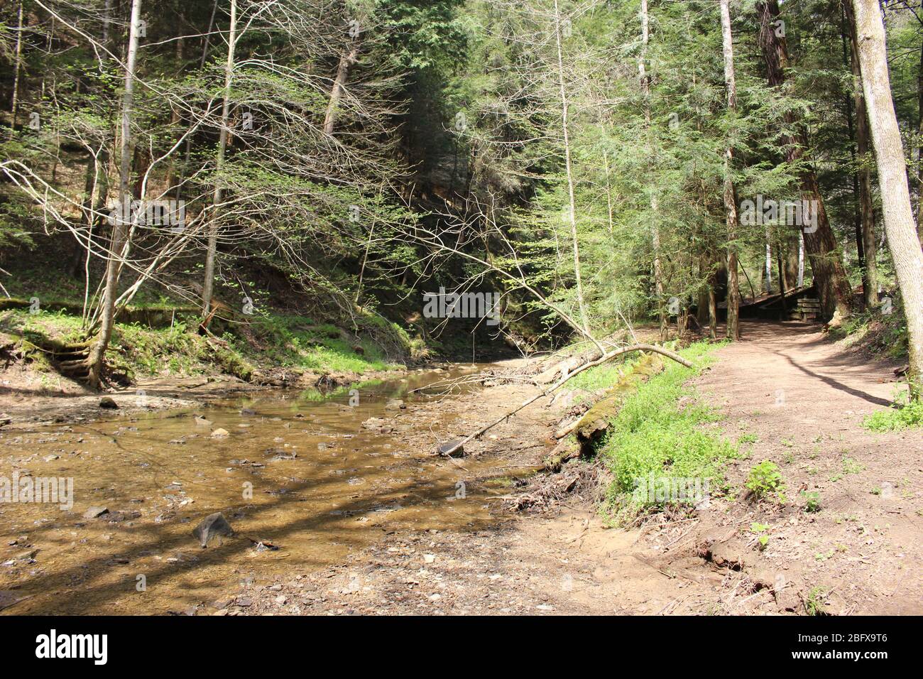 Old man cave walk trail and water fall in Ohio State,nature green ...