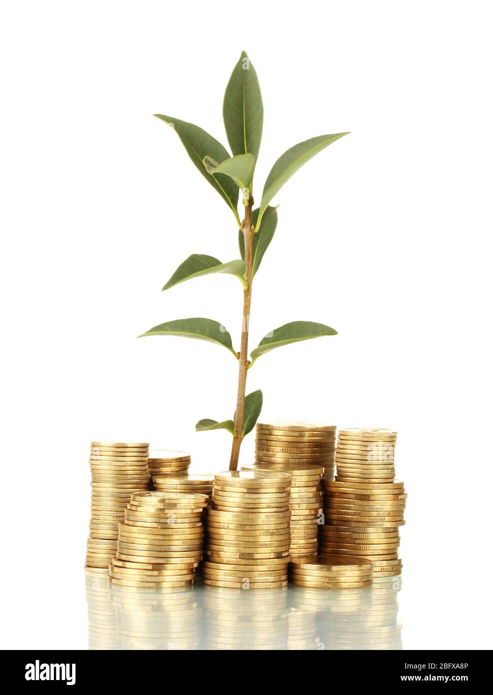 plant growing out of gold coins isolated on white Stock Photo - Alamy