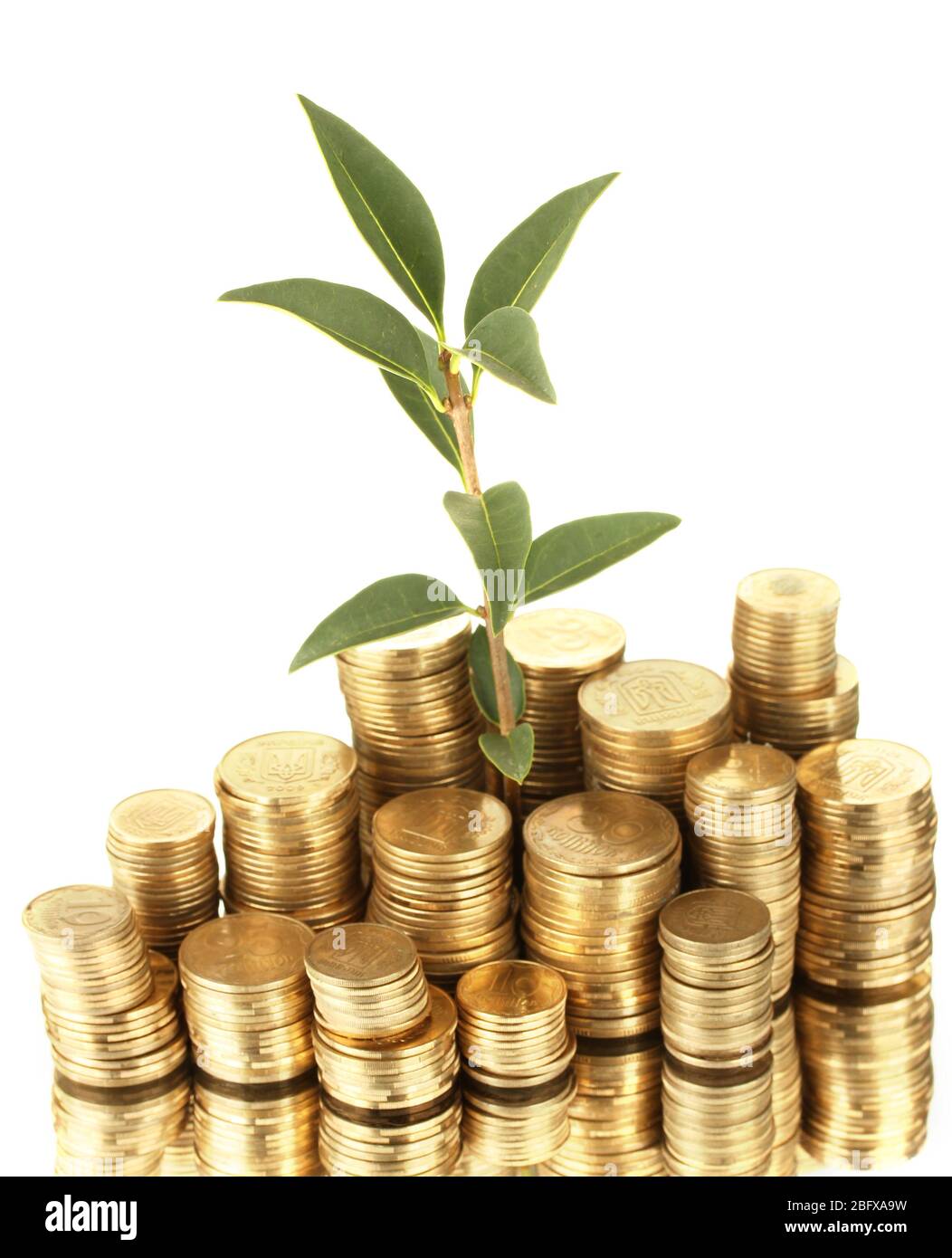plant growing out of gold coins isolated on white Stock Photo - Alamy