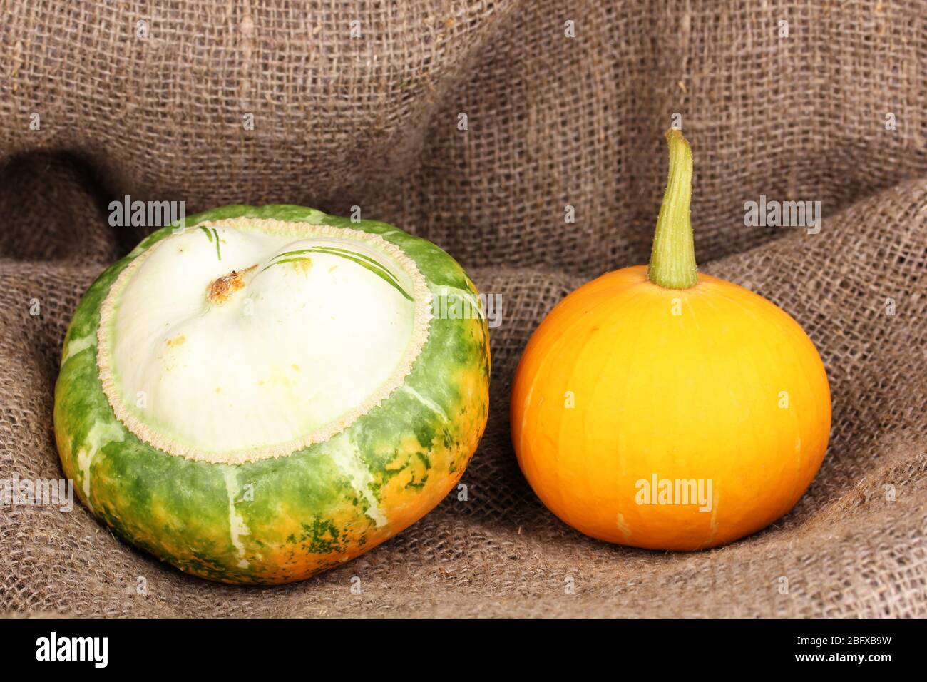 Pair of little pumpkins hi-res stock photography and images - Alamy