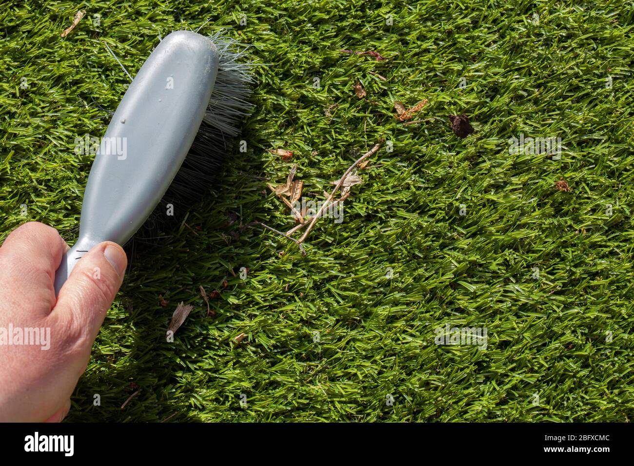 Man brushing rubbish on artifiicial grass turf with a hand brush in ...