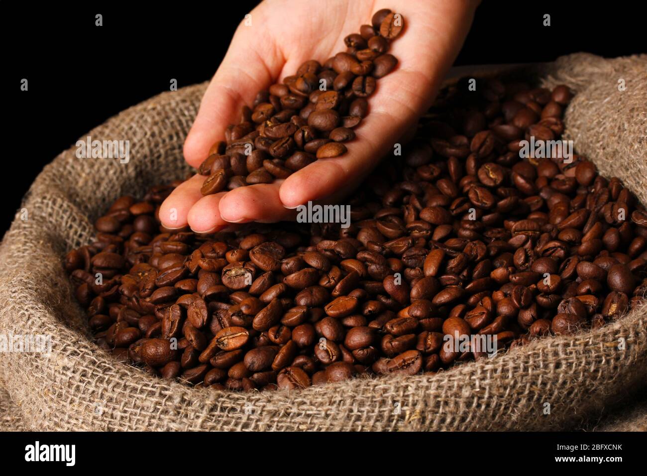 Coffee beans in hand sack hi-res stock photography and images - Alamy