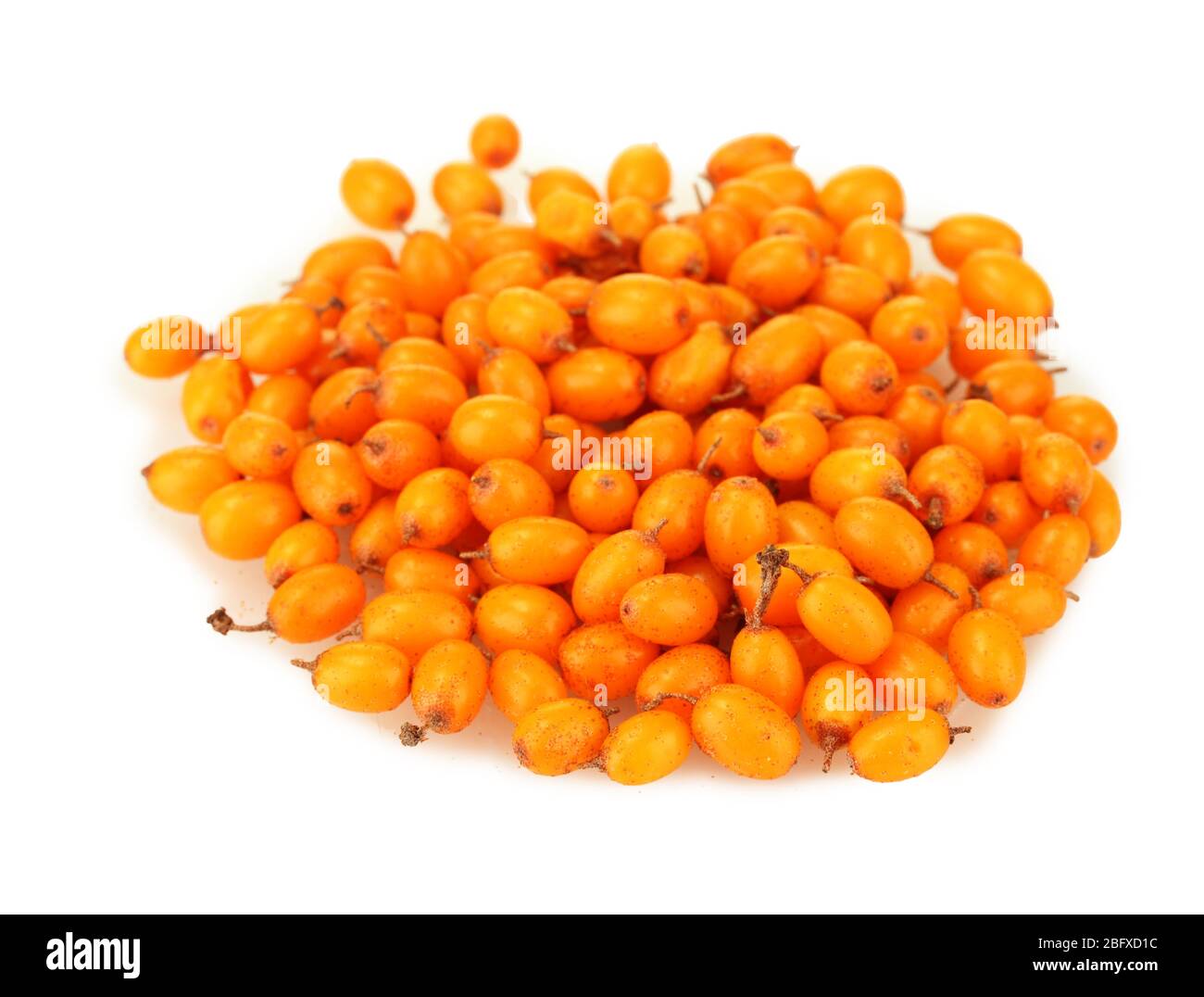 sea buckthorn isolated on white Stock Photo - Alamy