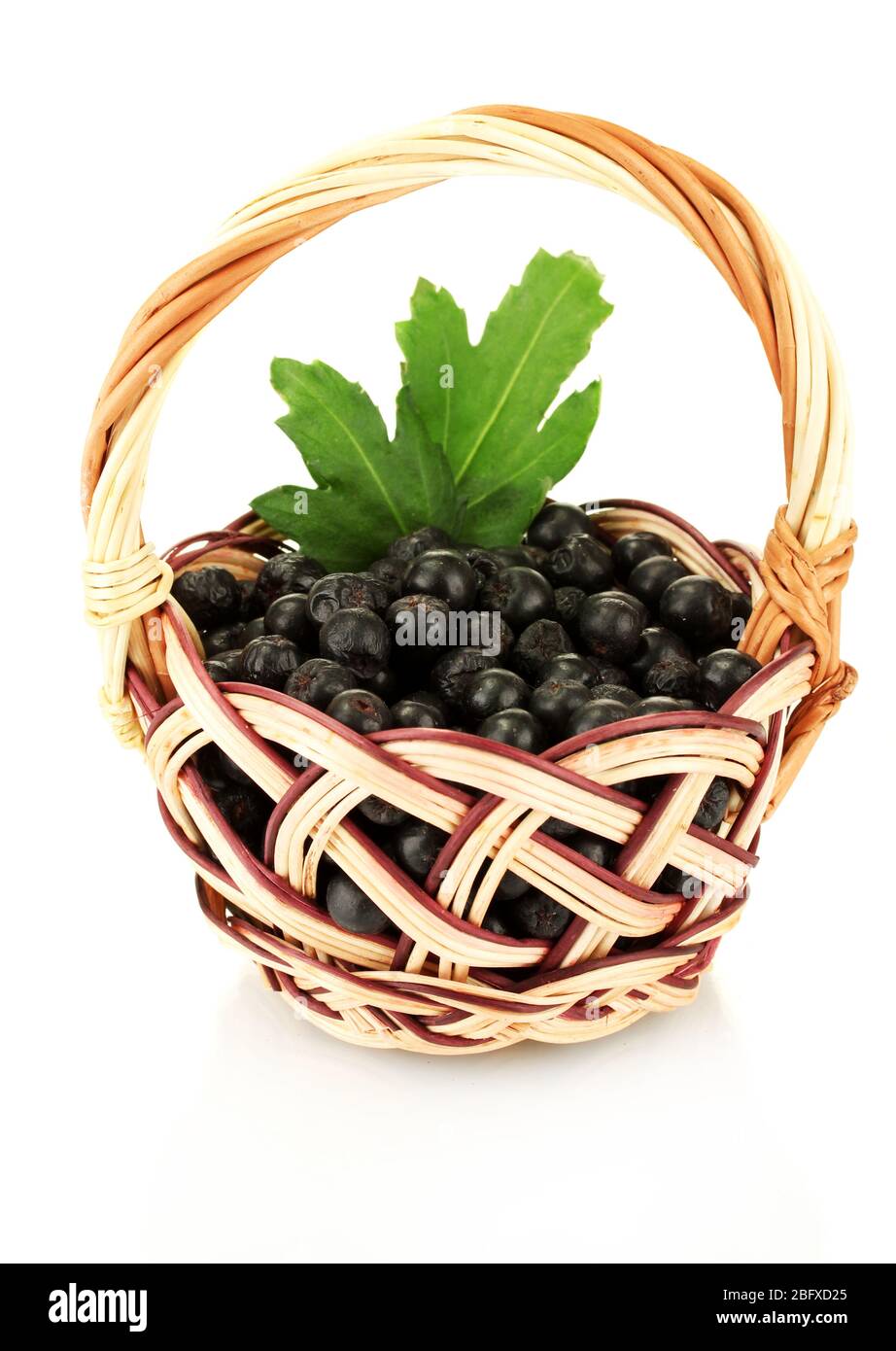 Chokeberry in autumn Cut Out Stock Images & Pictures - Alamy