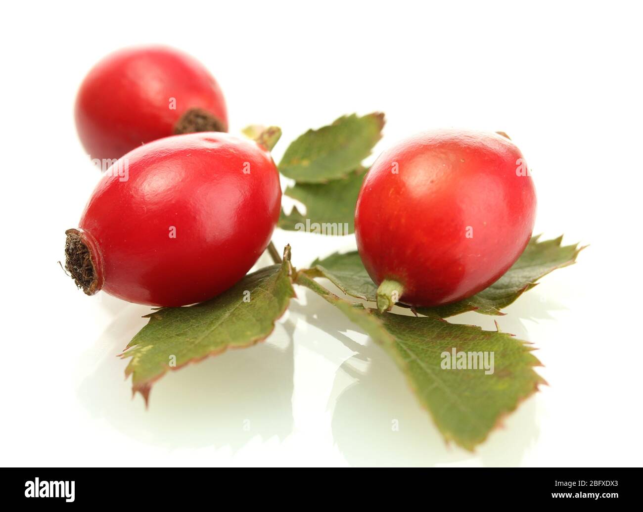 ripe hip roses on green leaves, isolated on white Stock Photo - Alamy