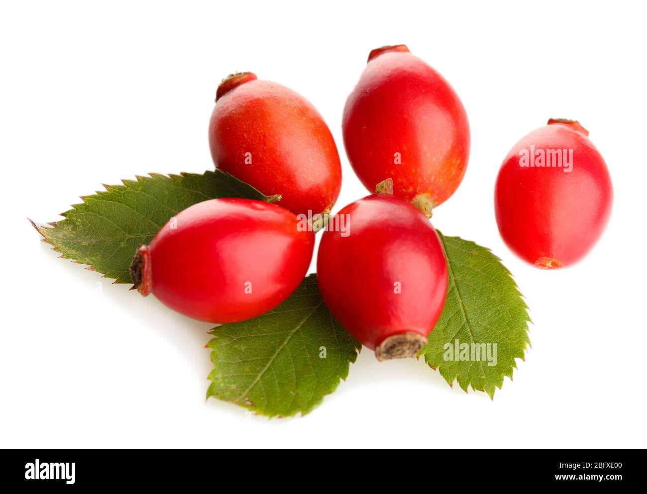 ripe hip roses on green leaves, isolated on white Stock Photo - Alamy