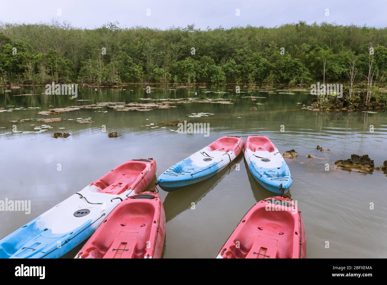 many kayaks on the wetland Stock Photo - Alamy