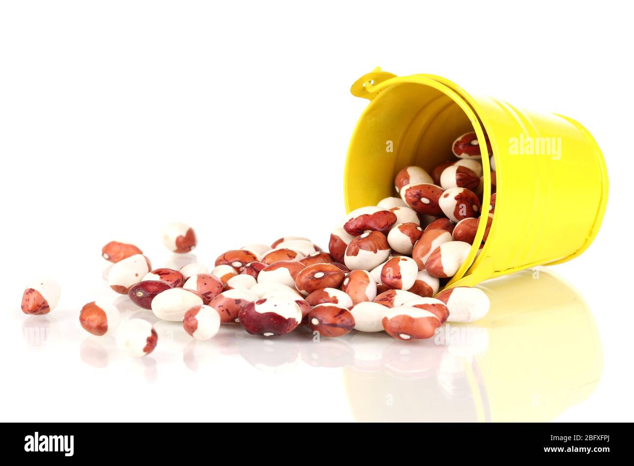 One bean kidney Cut Out Stock Images & Pictures - Alamy