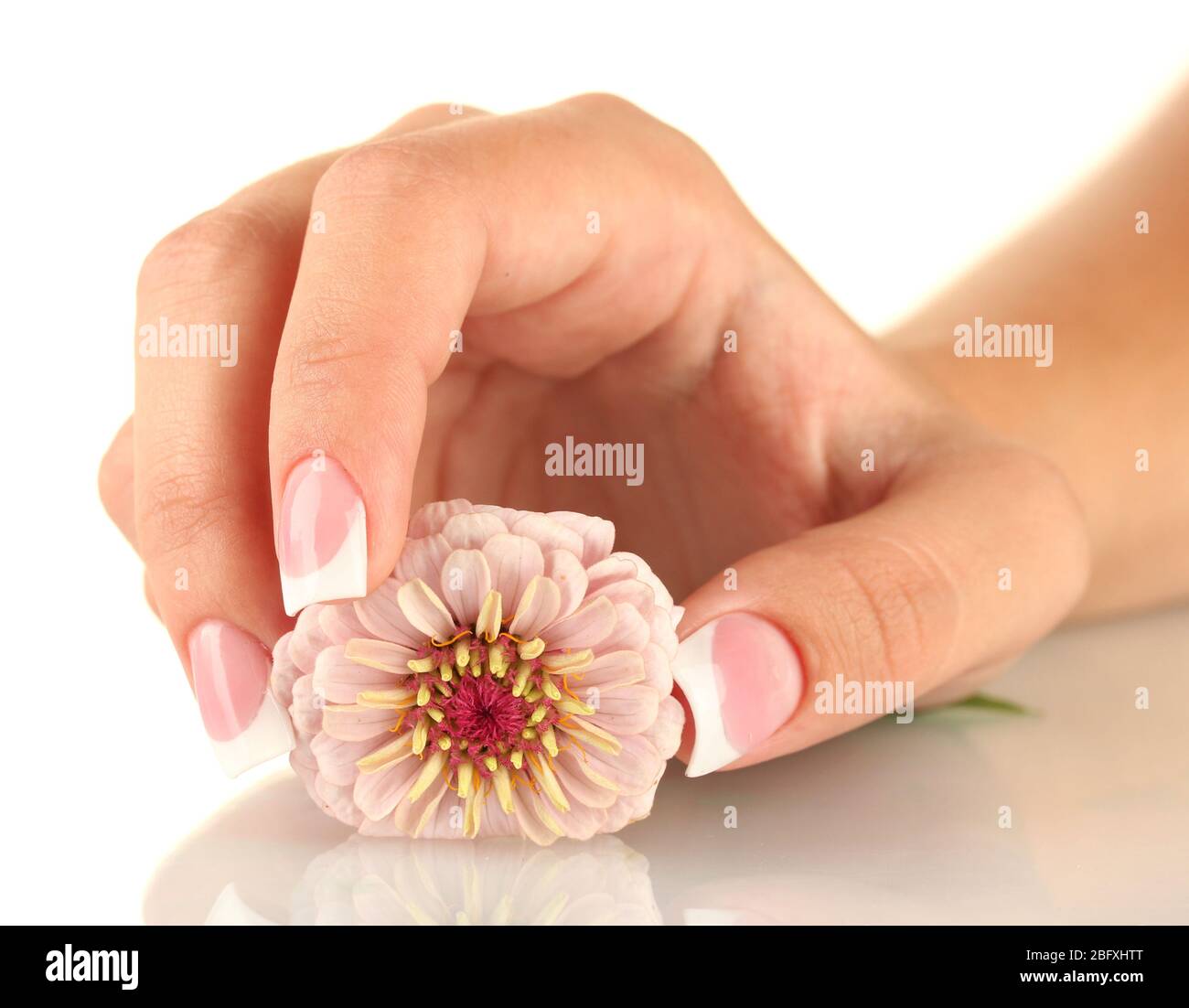 Pink flower with woman's hand on white background Stock Photo - Alamy