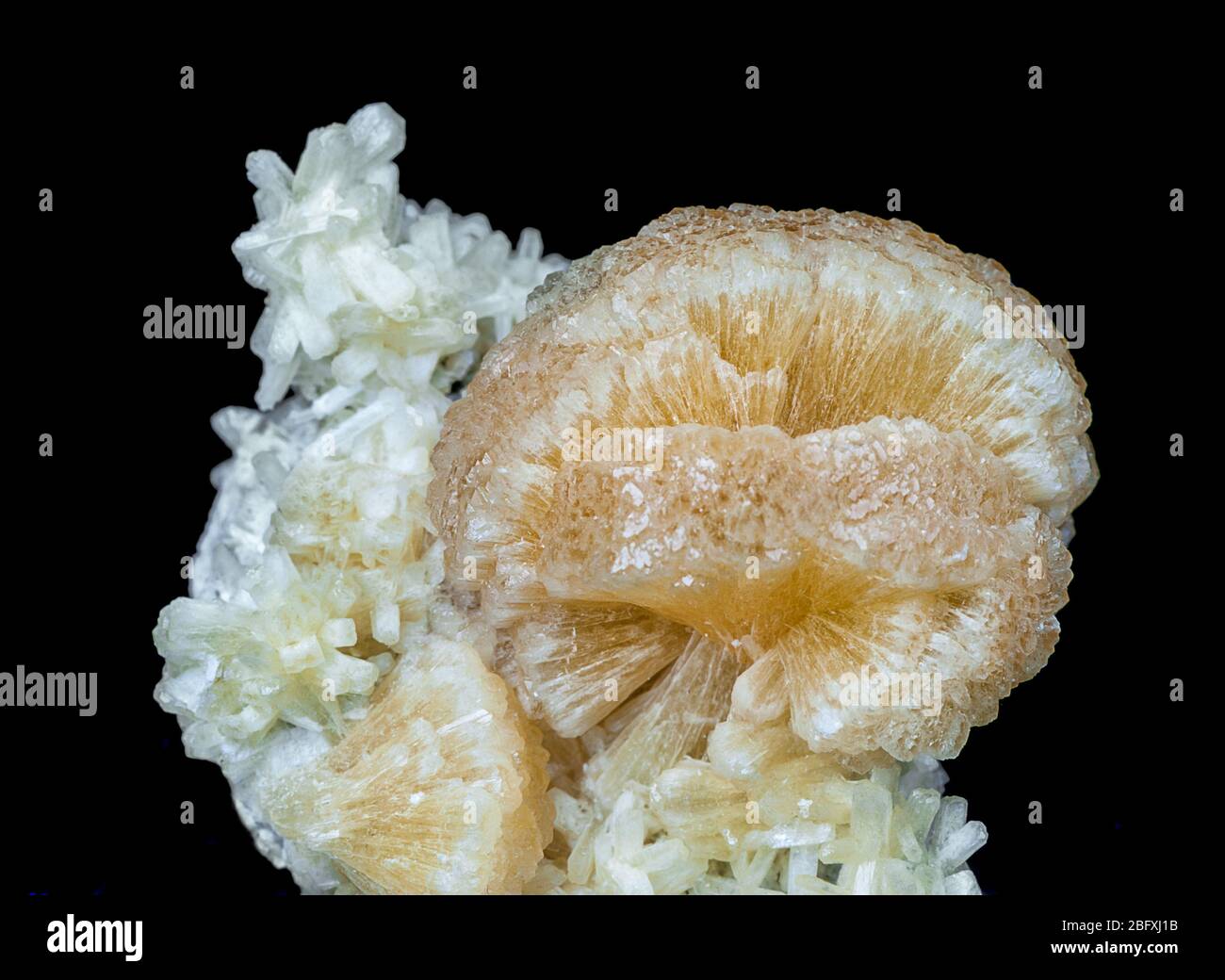 Yellow mineral hi-res stock photography and images - Alamy