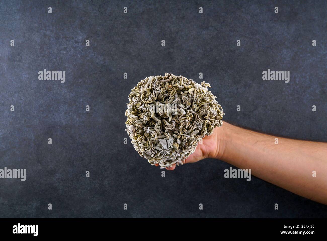 Bunch dried sage leaves hi-res stock photography and images - Alamy