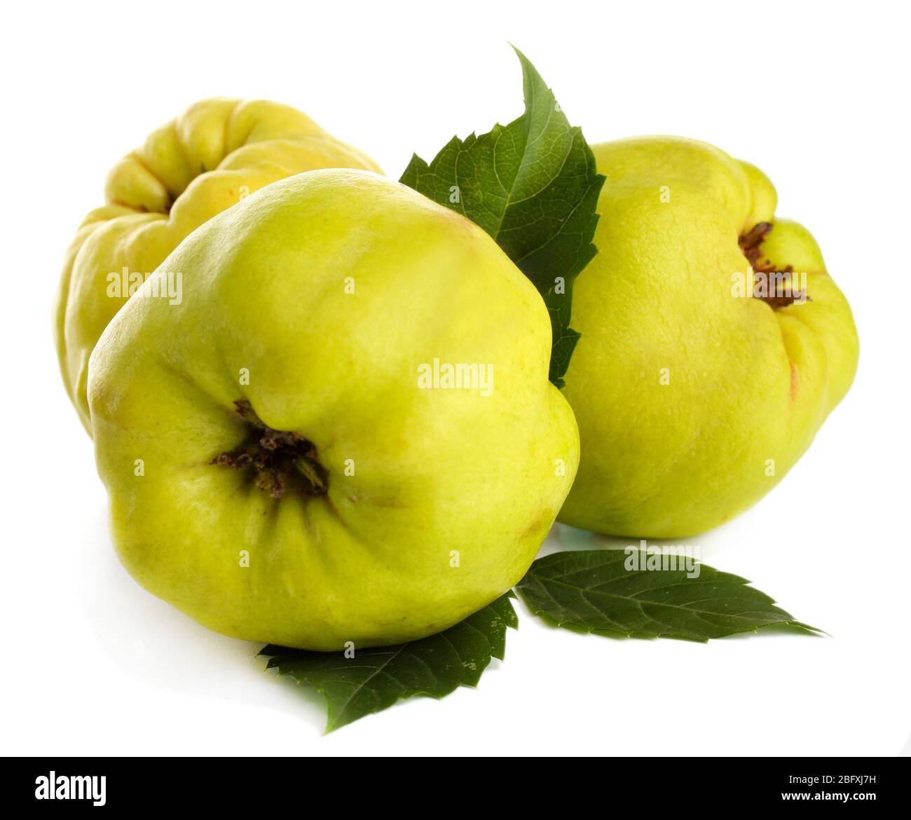 Three juicy quinces hi-res stock photography and images - Alamy