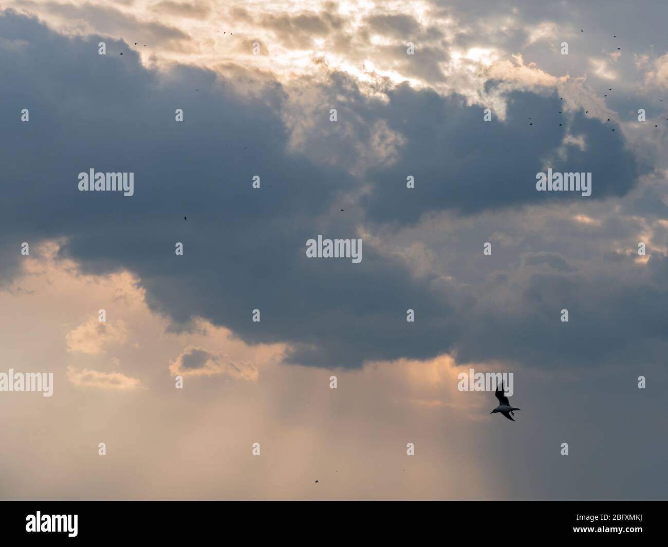 Dark sky with heavy and rainy clouds. Sky background Stock Photo - Alamy