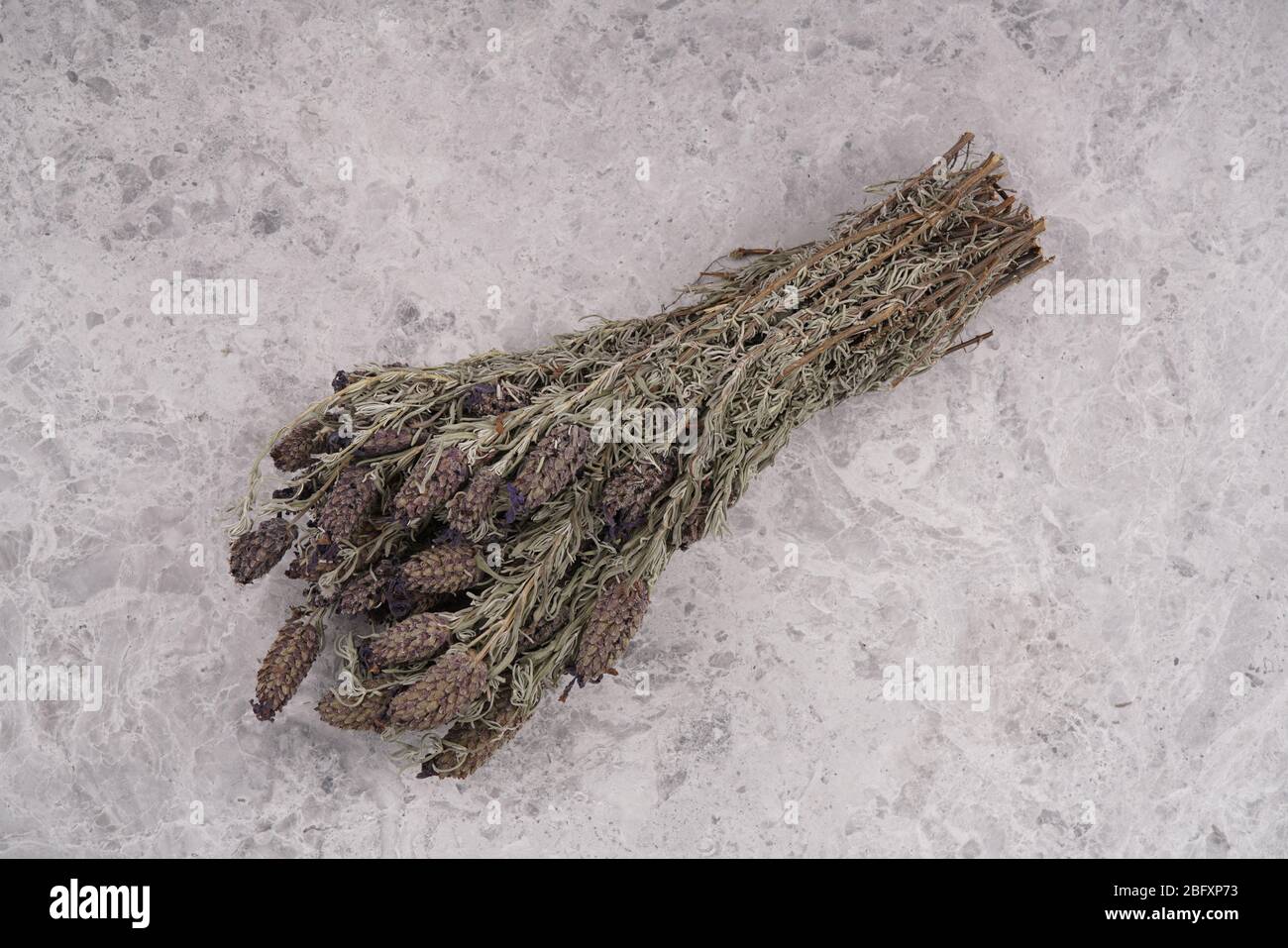 Karabas hi-res stock photography and images - Alamy