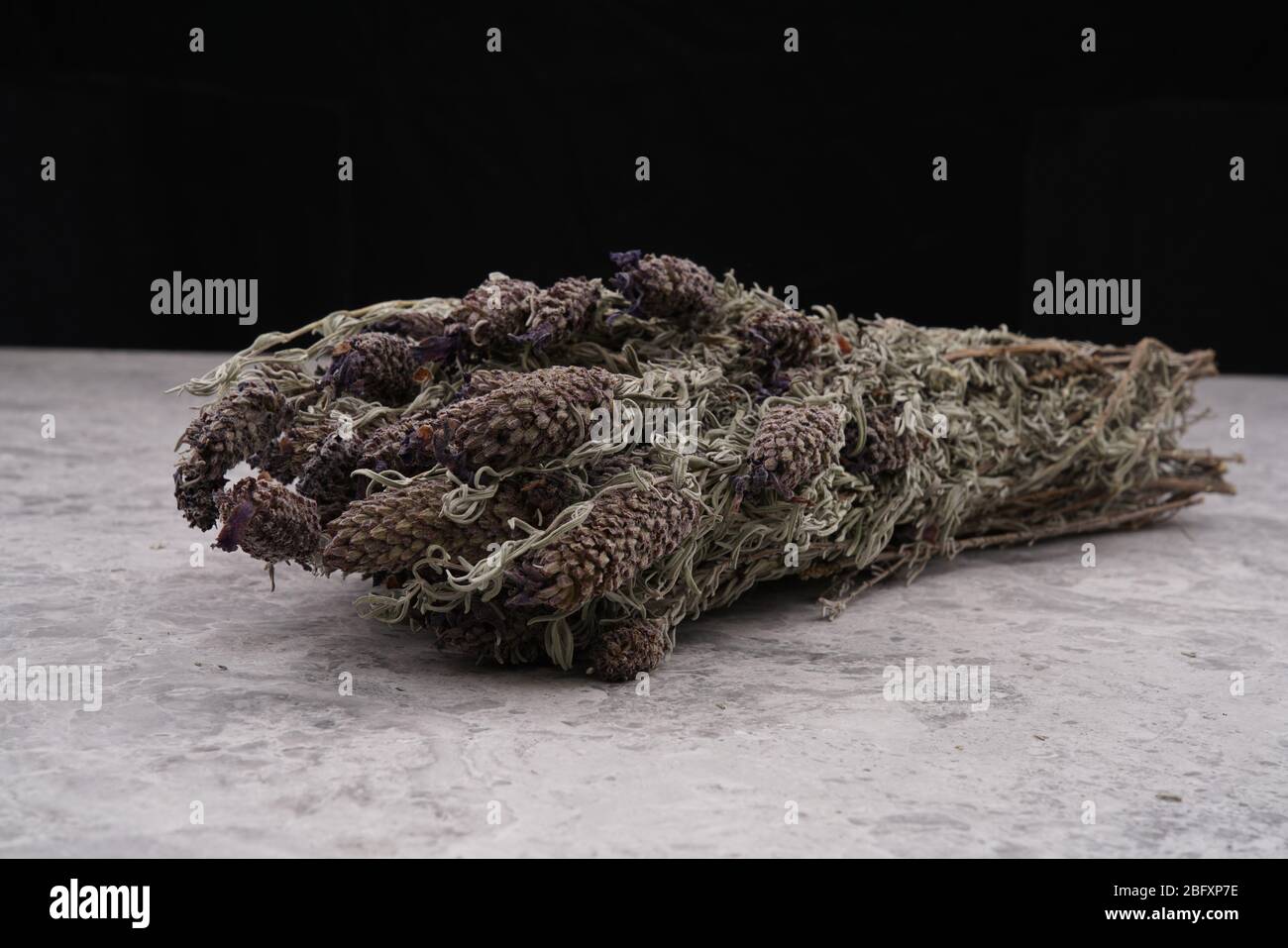 Karabas hi-res stock photography and images - Alamy