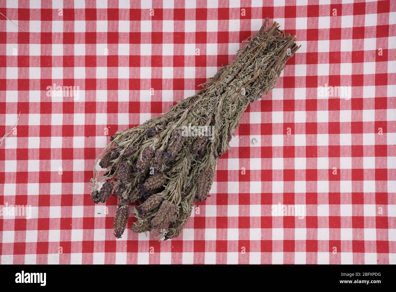 Karabas hi-res stock photography and images - Alamy