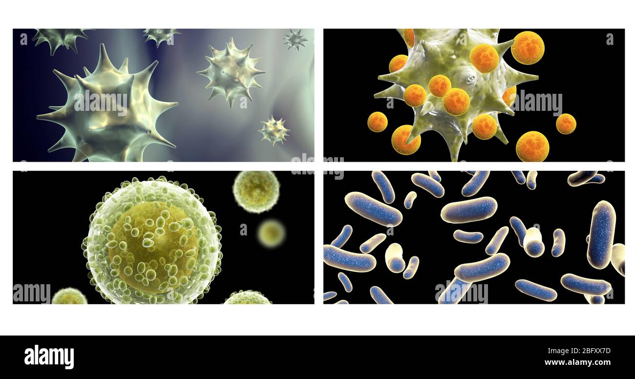 Collection of horizontal or vertical banners with pathogenic bacterias ...