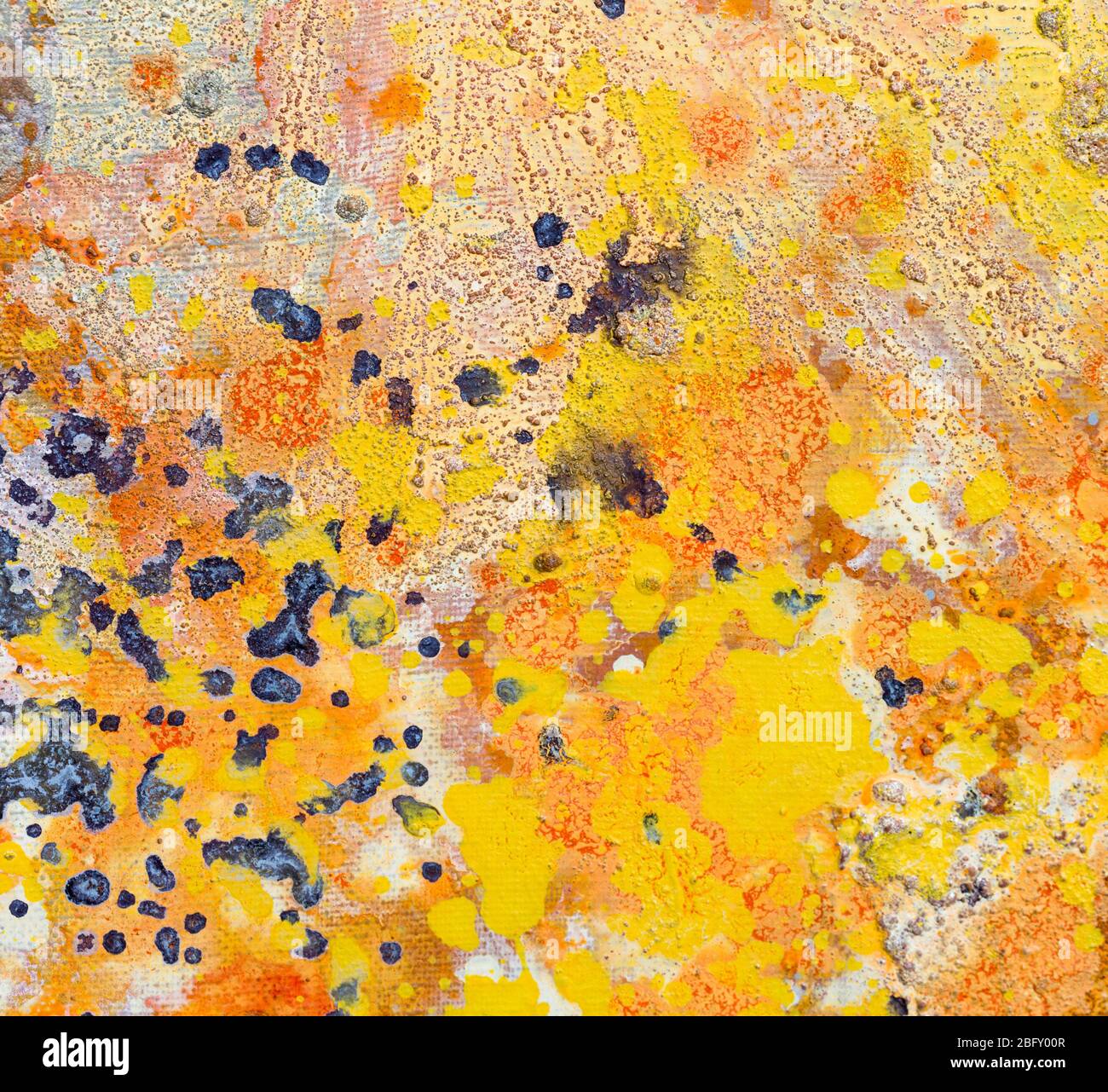 Warm contrast hi-res stock photography and images - Alamy