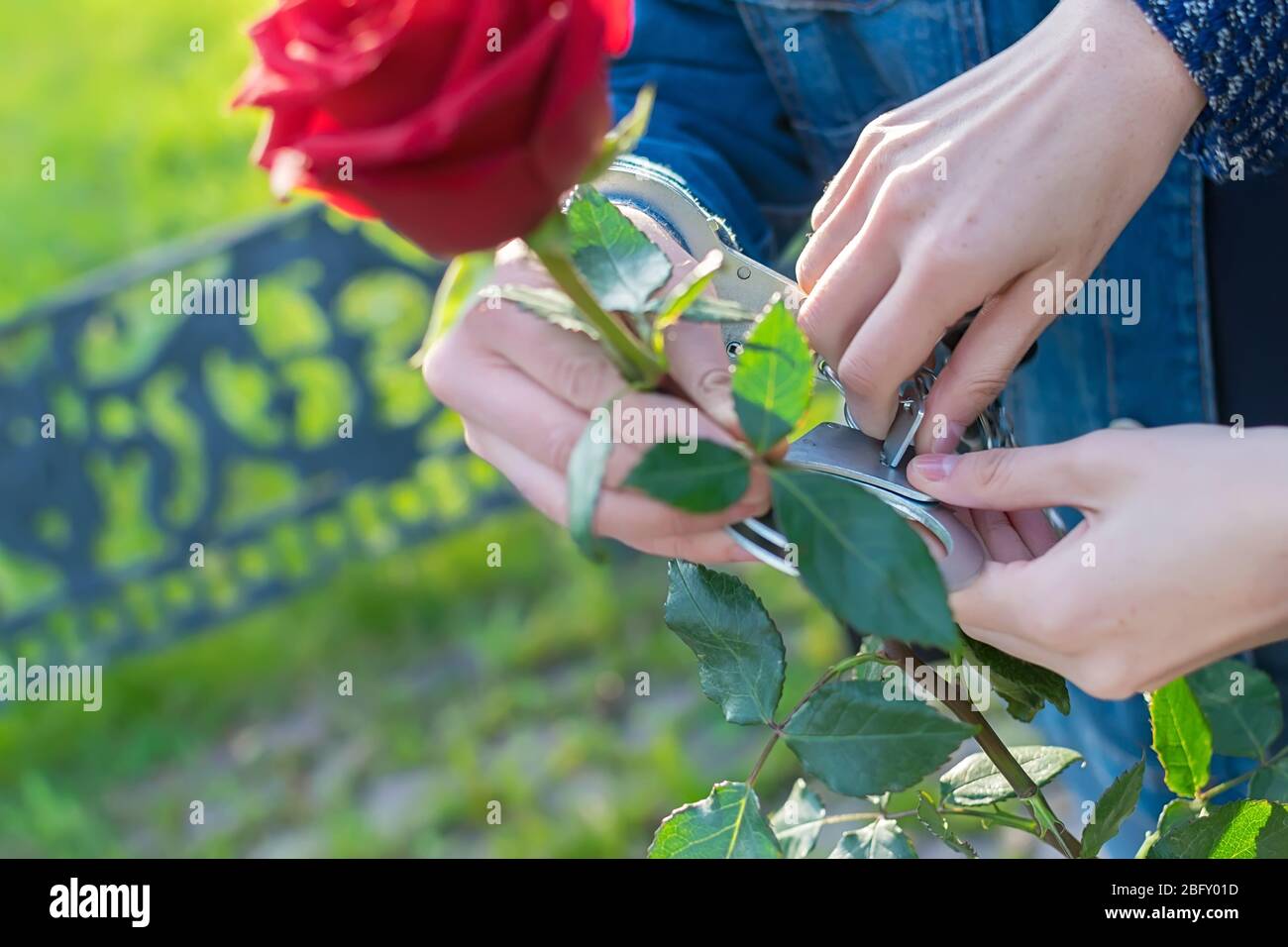 Spiked handcuffs hi-res stock photography and images - Alamy