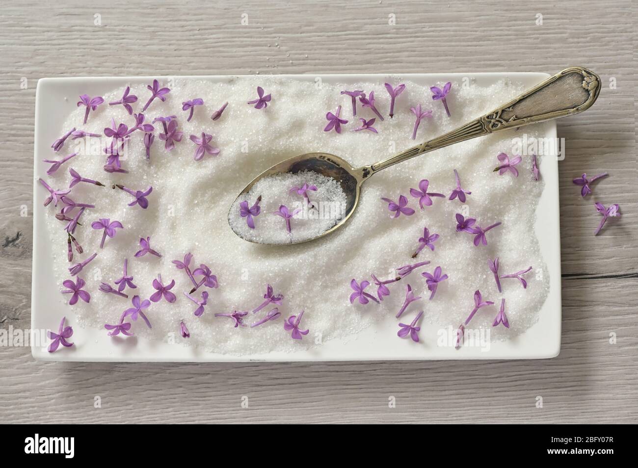 White lilac on plate hi-res stock photography and images - Alamy