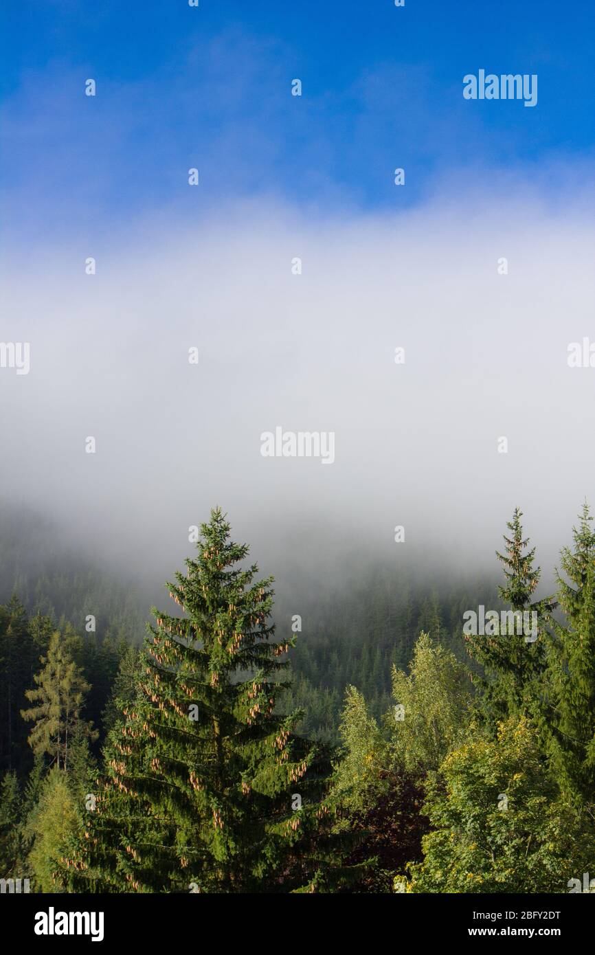 Alpine transition hi-res stock photography and images - Alamy