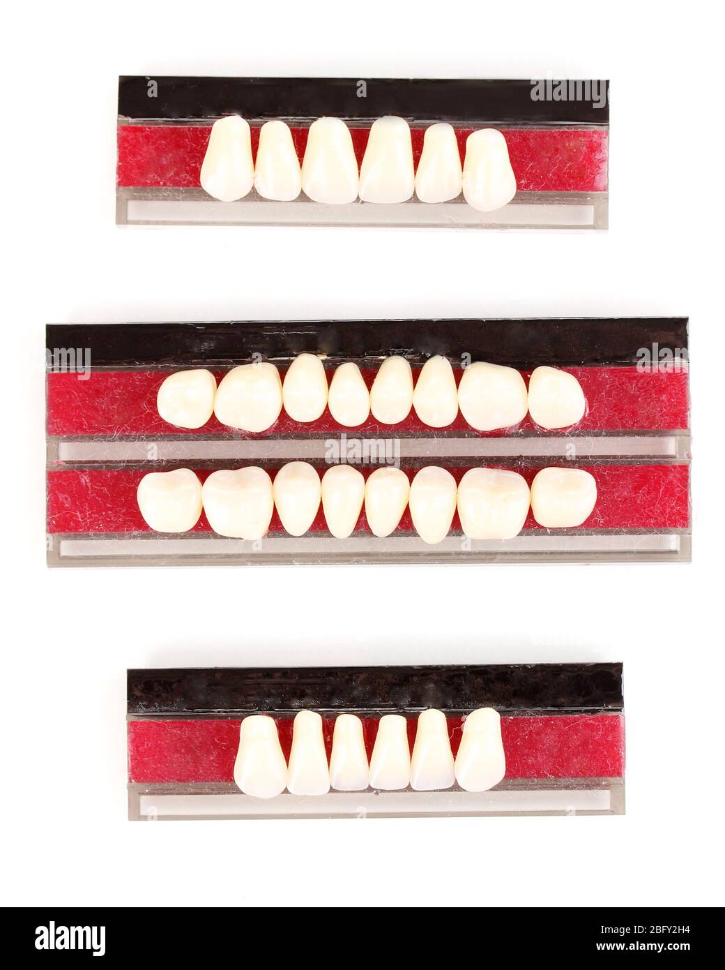 Teeth set isolated on white Stock Photo - Alamy