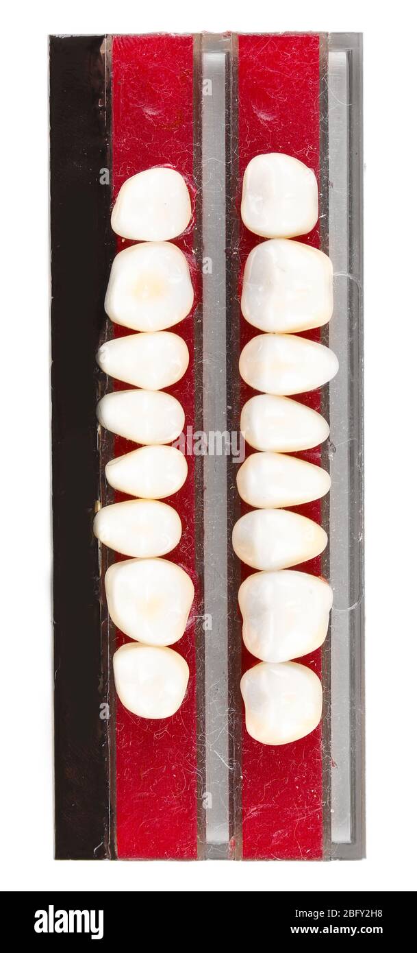 Teeth set isolated on white Stock Photo - Alamy