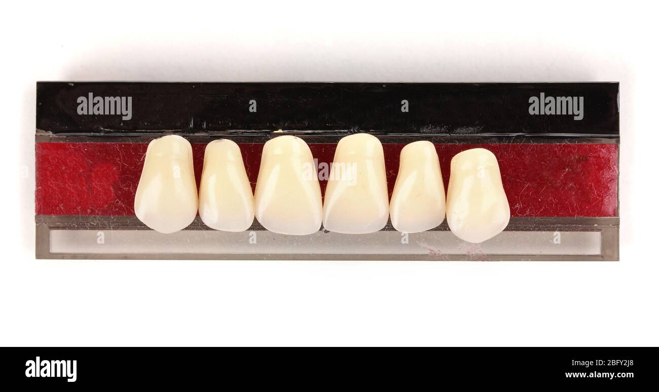 Incisors teeth Cut Out Stock Images & Pictures - Alamy