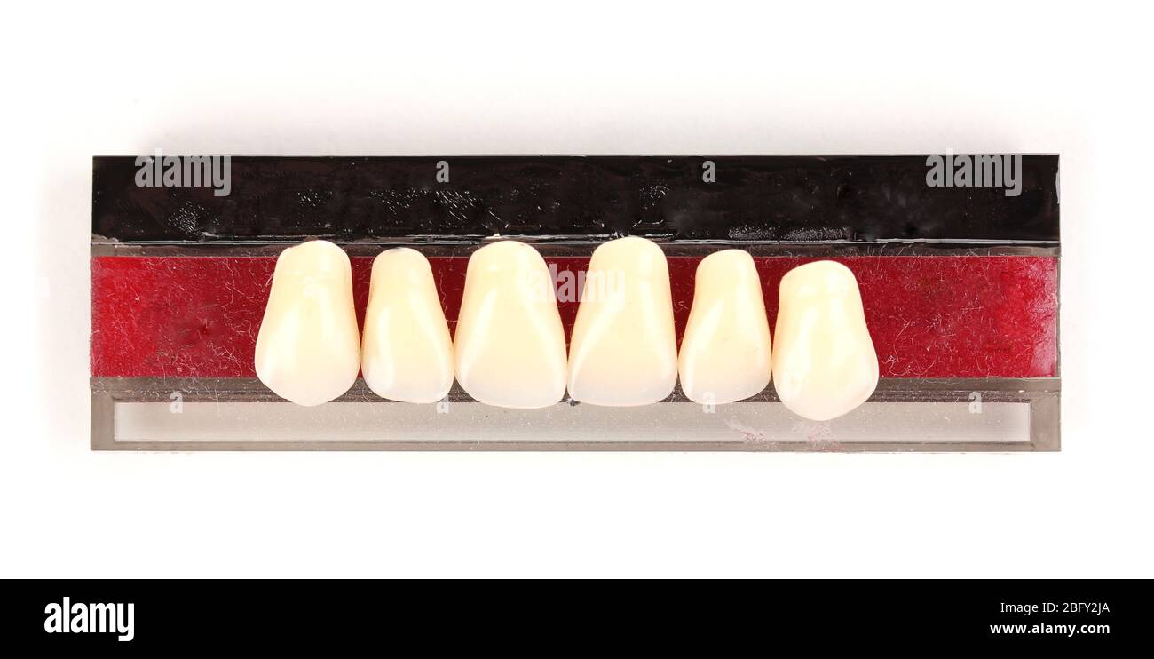 set of incisors Stock Photo - Alamy