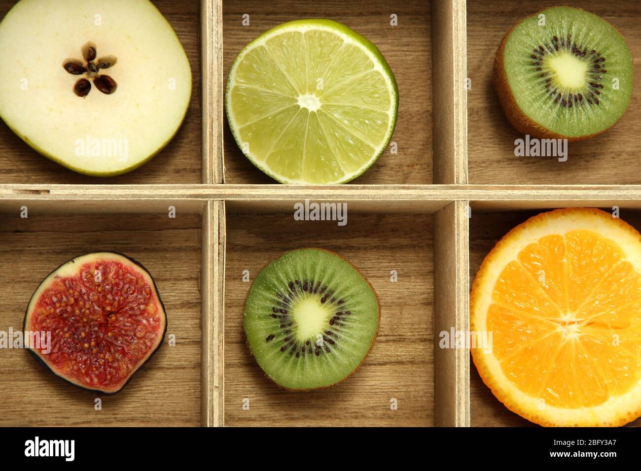 Longitudinal section in plant hi-res stock photography and images - Alamy