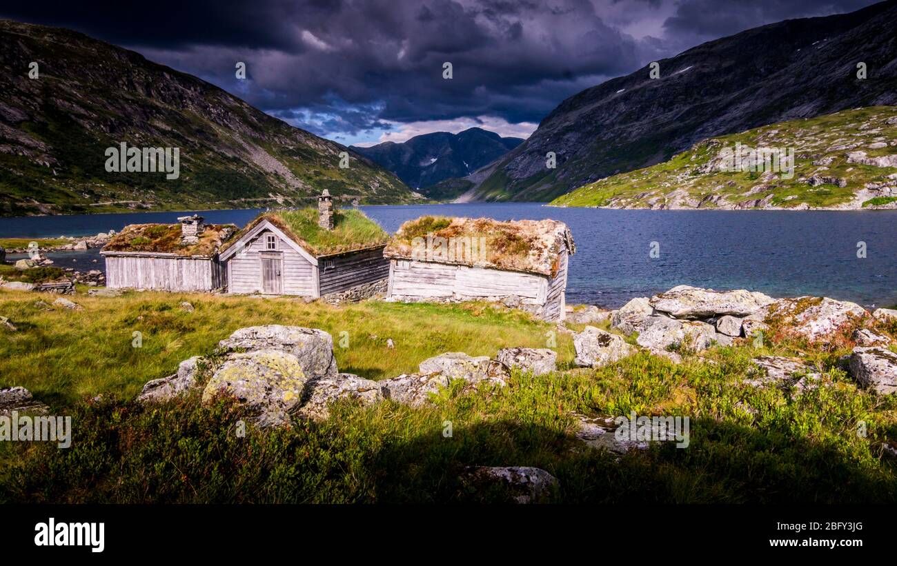 Norway, in the summer Stock Photo - Alamy