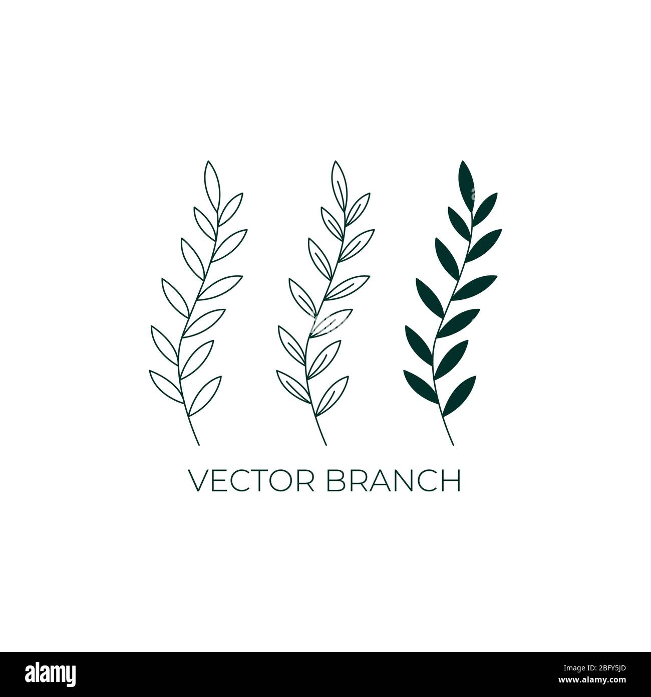 vintage set of hand drawn tree branches with leaves on white background ...