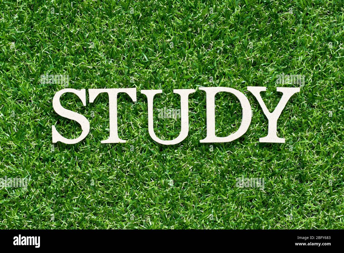 Alphabet letter in word study on green grass background Stock Photo - Alamy