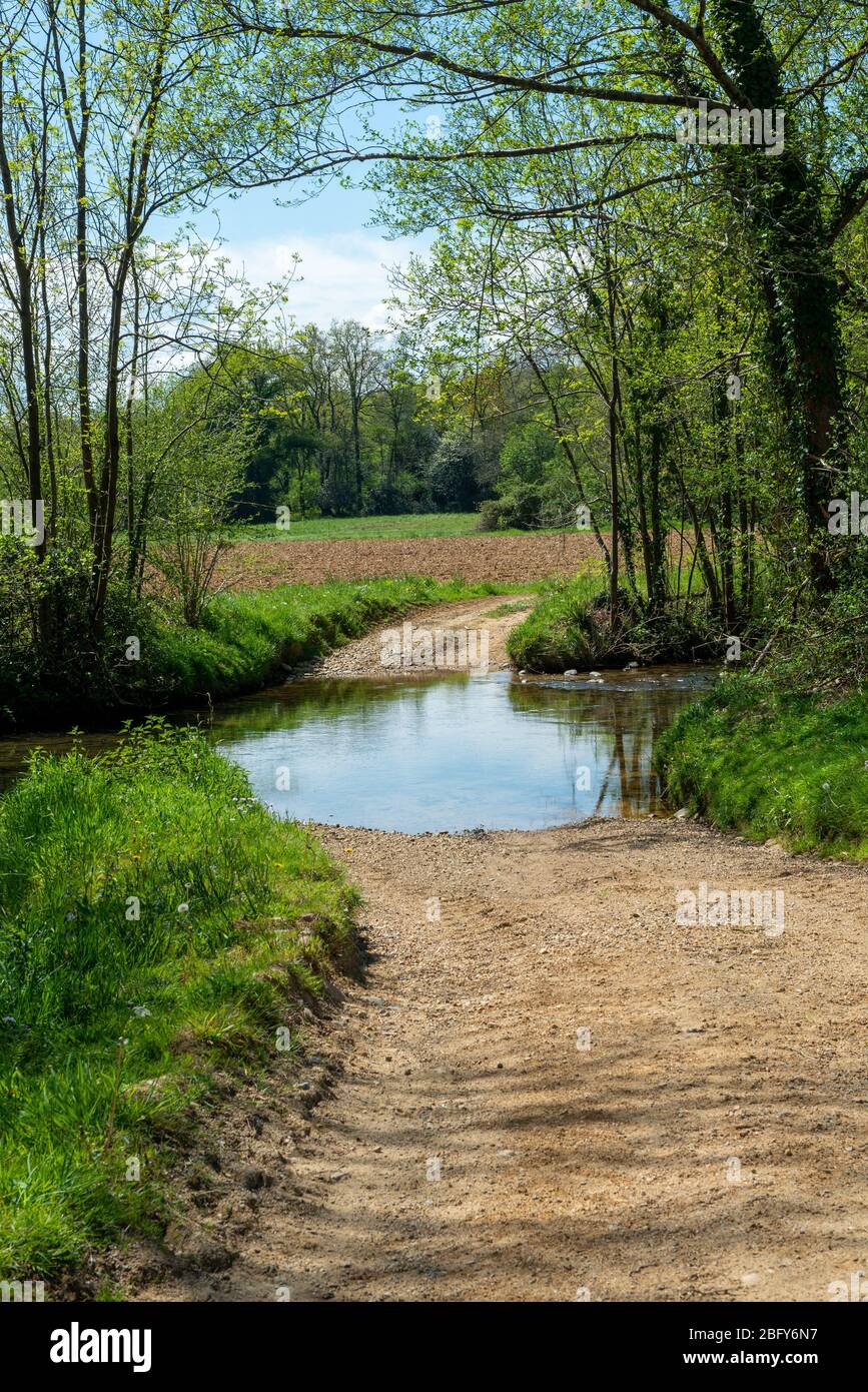 a view of the small road in the french countryside at springtime Stock ...