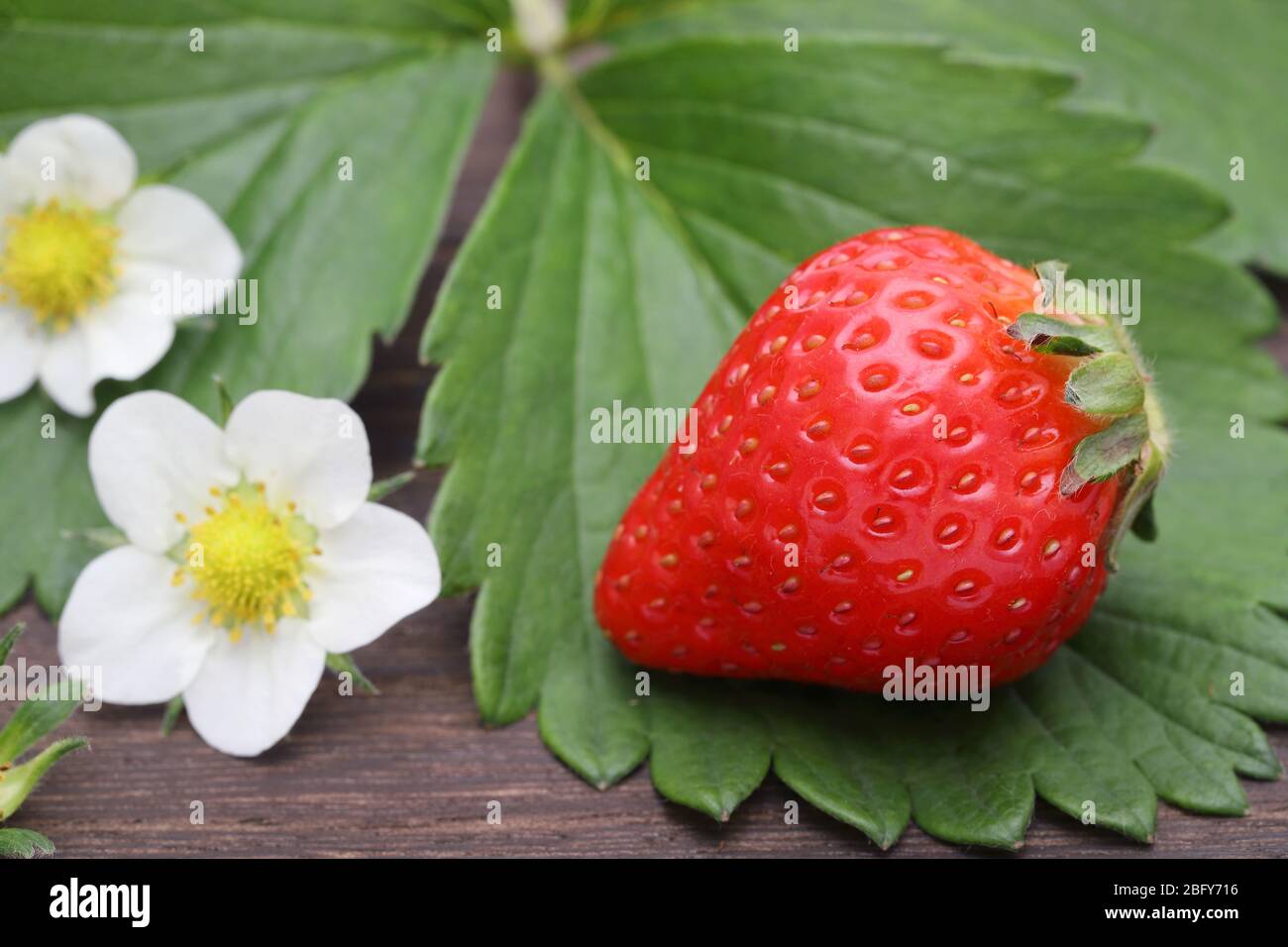 fresh red strawberry with flower on dark wooden table Stock Photo - Alamy